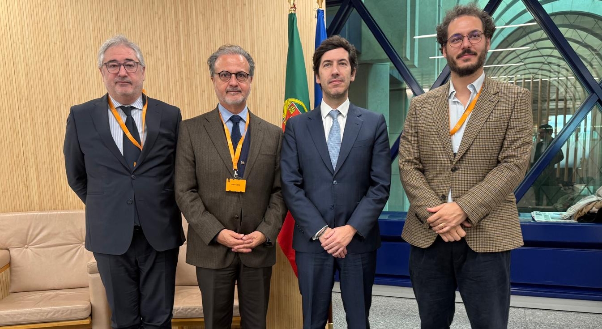 Ministério da Economia reúne com Profissionais Liberais da ANPL ...